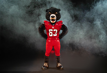 LENOIR-RHYNE: Pate promoted to vice president of athletics - Hobbs ...