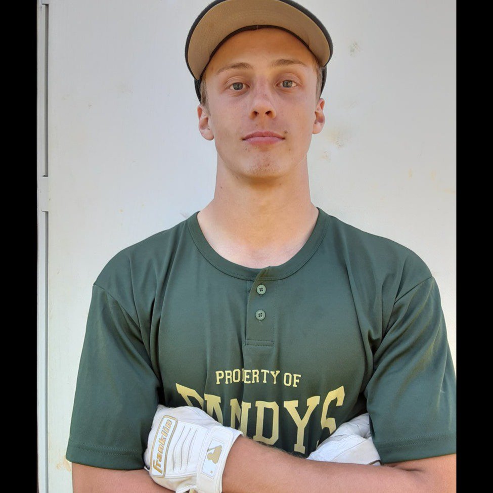 HIGH SCHOOL BASEBALL: Bandys tied for most with 4 all-state players ...